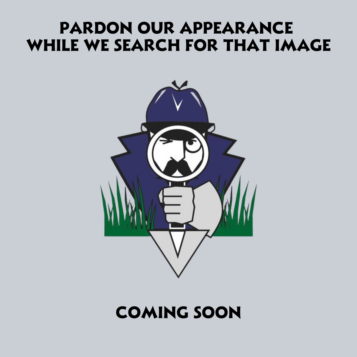 Shorty Leyland Cypress – Plant Detectives