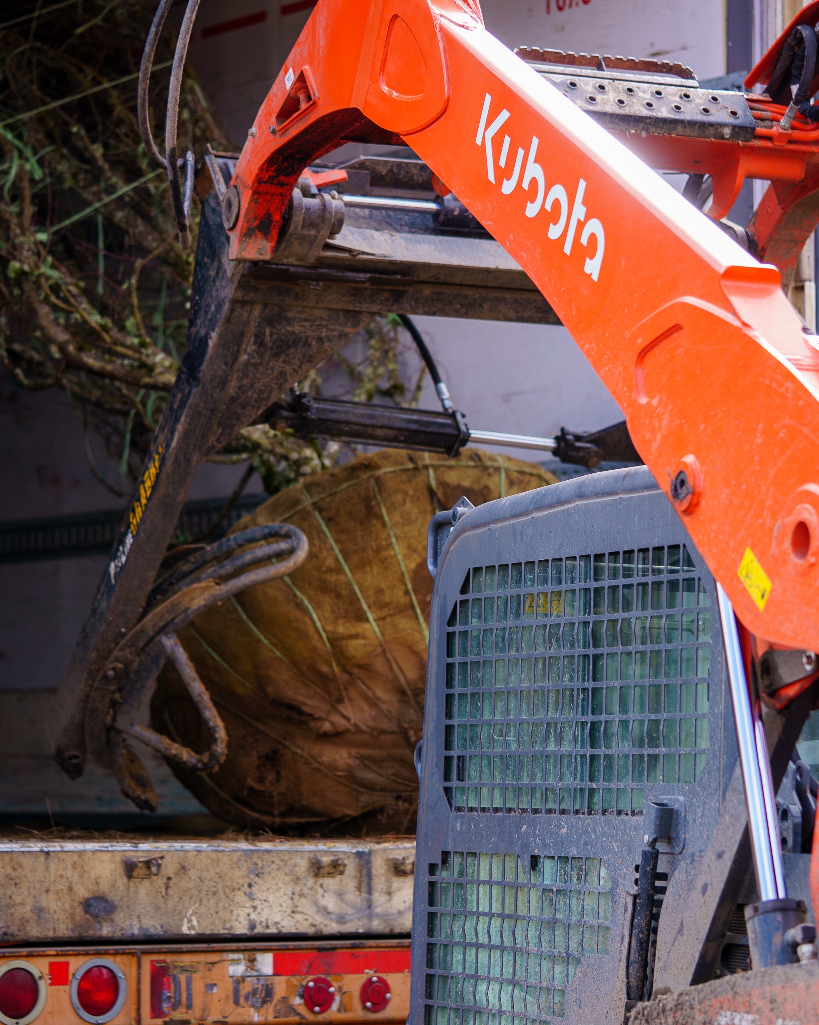 About Us – Plant Detectives