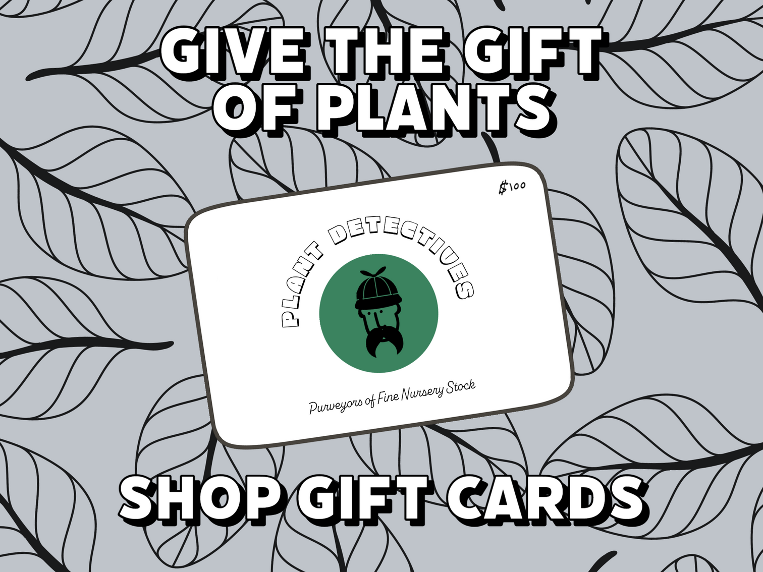 Plant Detectives - Purveyors of Fine Nursery Stock