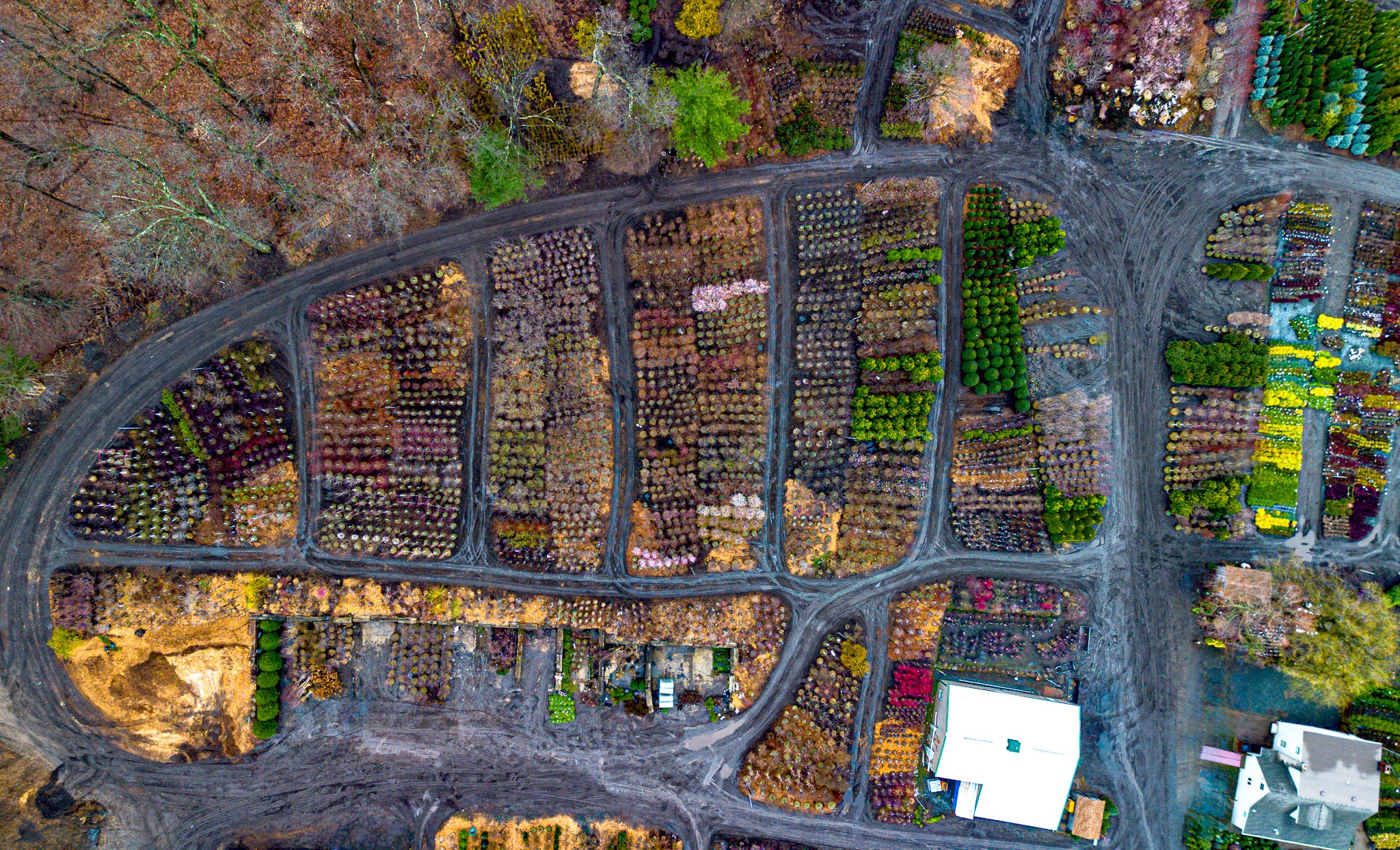 About Us – Plant Detectives