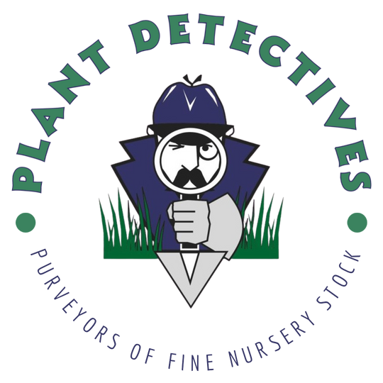 The Canna Guide – Plant Detectives